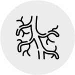 Avante Laser Institute – Laser & Injectable Treatment